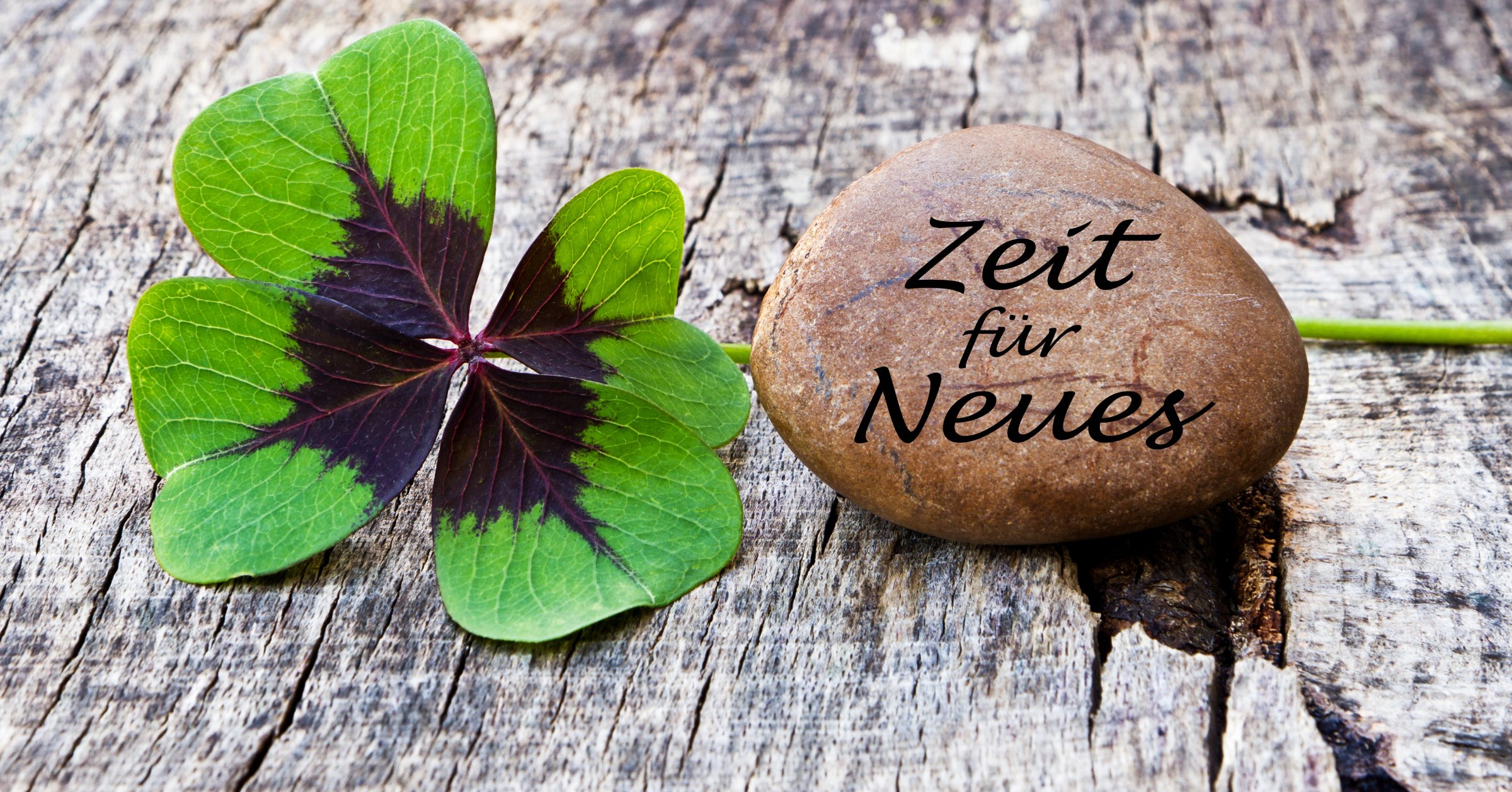 Neubeginn | Pfarrei St. Marien Saarbrücken (Dudweiler)